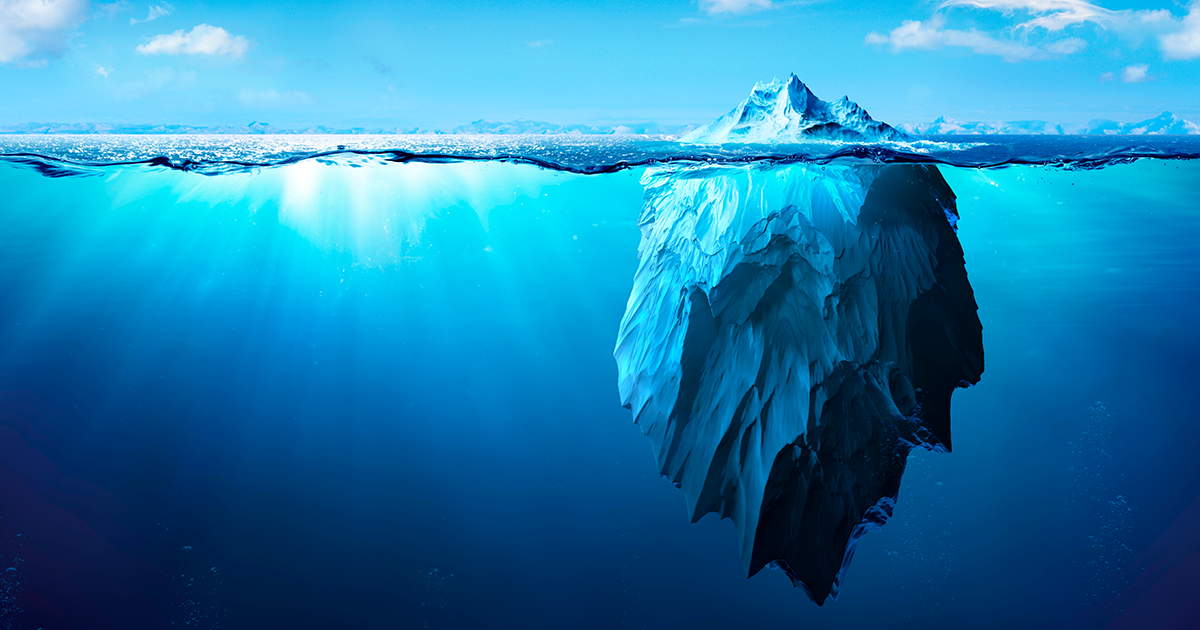 Minkskandalen er kun toppen af isbjerget, når det gælder Mette ...